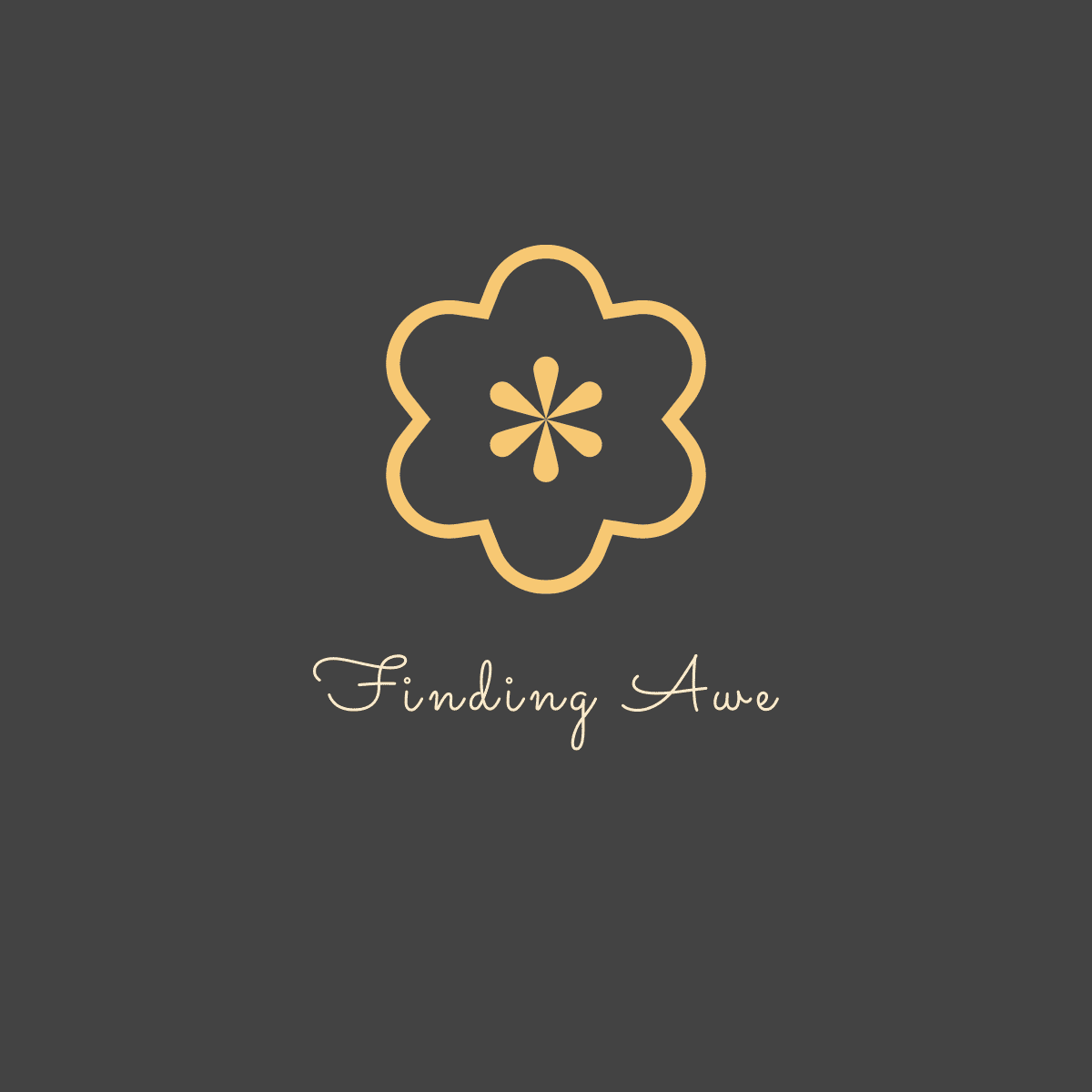 Finding Awe – Opening Soon